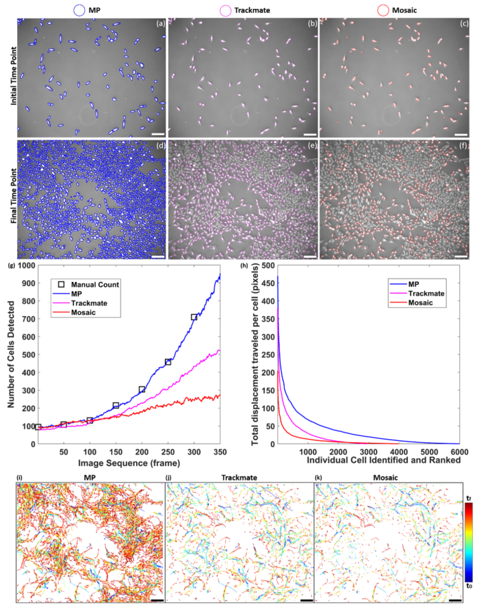 Vlachos Research Group | Multi-feature-based Robust Cell Tracking